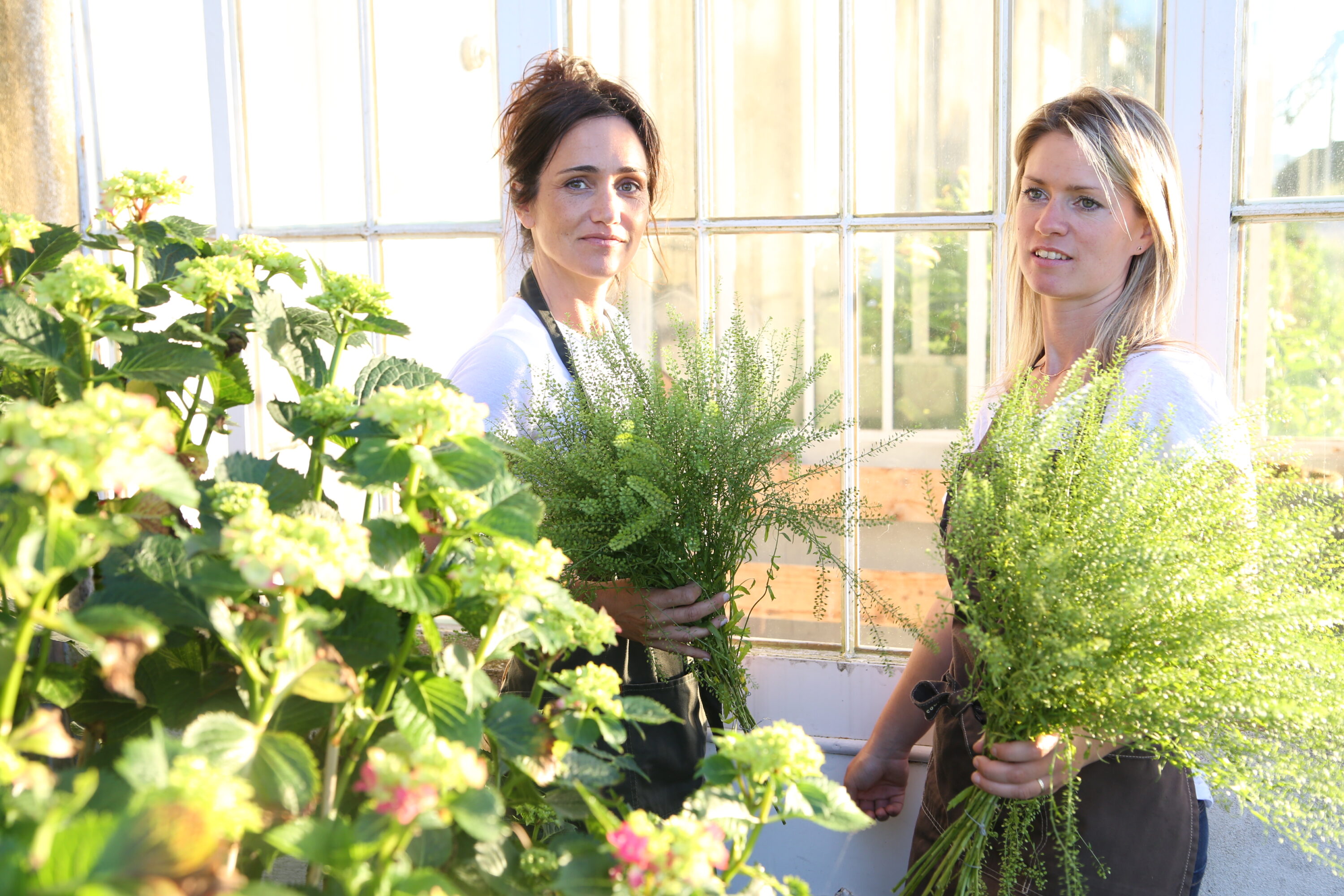 CAP Fleuriste à distance – Vertuel Formations